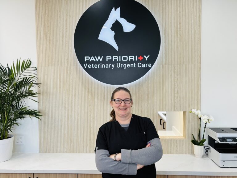 Our Team - Paw Priority